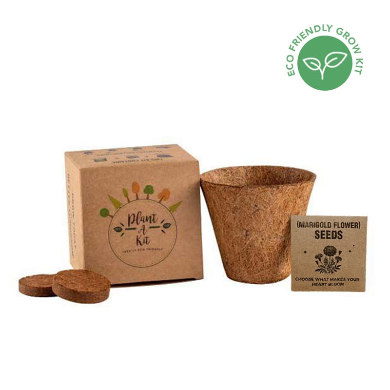 eco-neutral® All-in-One Plant Grow Kit | Jasani